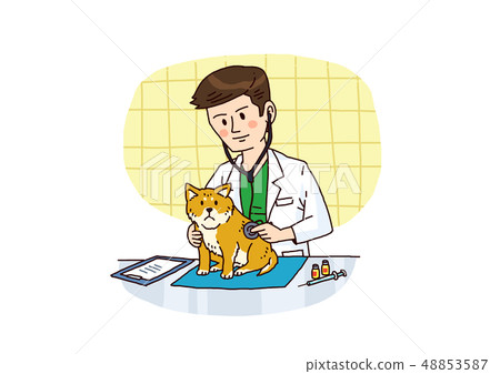 Vector - Examination and healthcare for pets... - Stock Illustration ...
