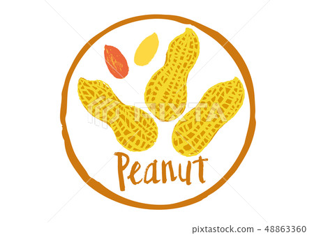 peanut brush lettering - Stock Illustration [48863360] - PIXTA