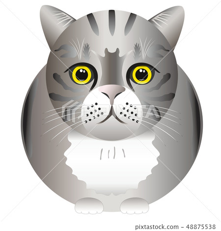 Faceless cat 1 - Stock Illustration [48875538] - PIXTA