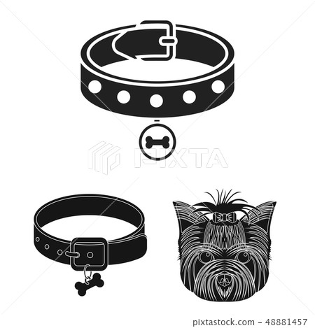 Isolated object of pet and accessories symbol.... - Stock Illustration ...