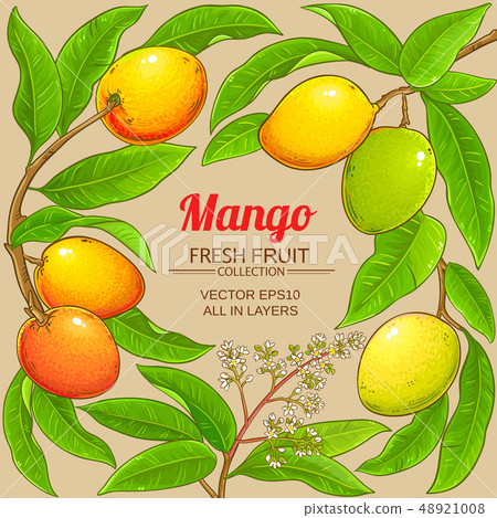 mango vector frame - Stock Illustration [48921008] - PIXTA