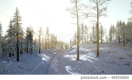 4K Aerial Snow Covered Trees Drone Footage - Stock Illustration ...