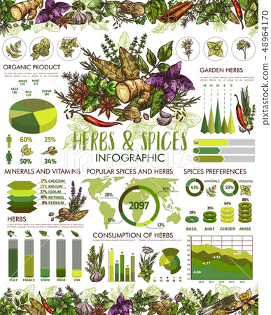 Seasonings, herbs and spices infographic - Stock Illustration [48964170 ...