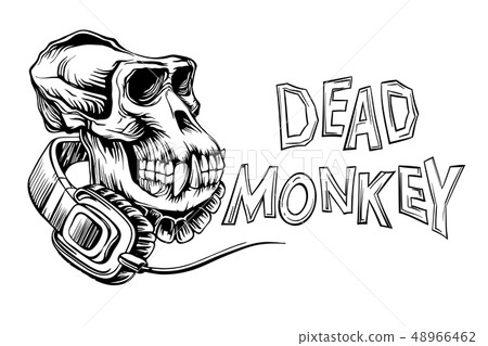 Dead monkey skull - Stock Illustration [48966462] - PIXTA
