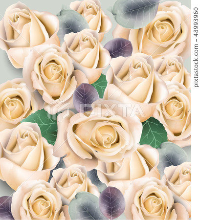 Cream roses bouquet Vector watercolor. Floral - Stock Illustration ...