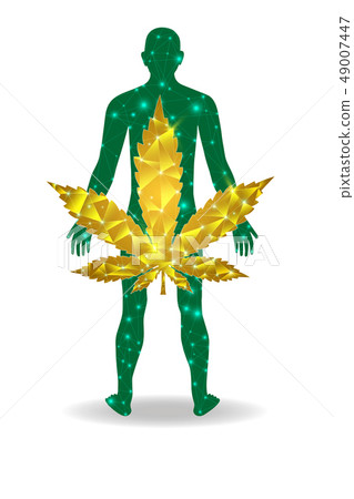 Marijuana plant and cannabis body white background - Stock Illustration ...