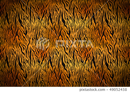Bright orange tiger skin with black stripes, white - Stock Illustration ...