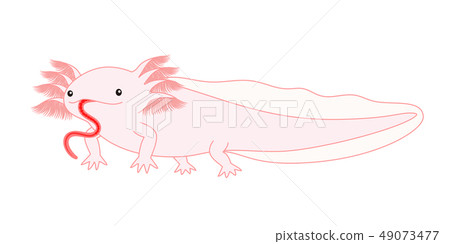Wooper eater Axolotl pink eating food - Stock Illustration [49073477 ...