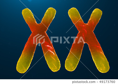 Infection of XX-Chromosomes DNA, virus or... - Stock Illustration ...