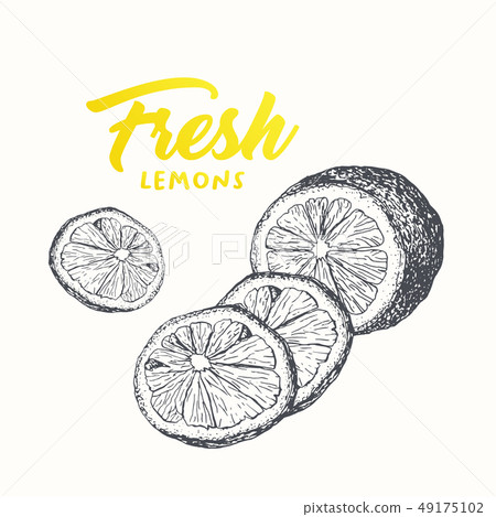 Fresh lemons vector banner design - Stock Illustration [49175102] - PIXTA