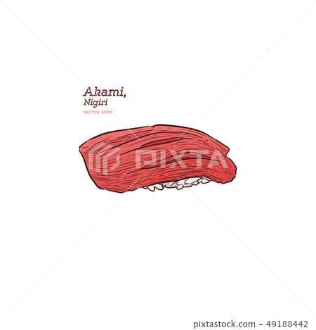 Maguro (Akami) Nigiri Sushi, Japanese Food. - Stock Illustration ...