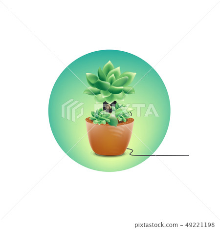 Spy camera in the succulents. - Stock Illustration [49221198] - PIXTA