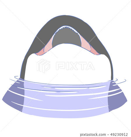 A orca with a smile - Stock Illustration [49230912] - PIXTA