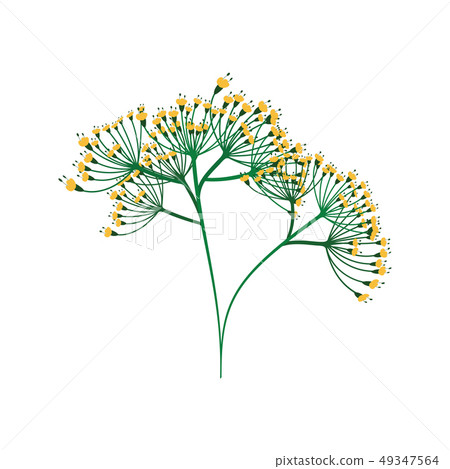 Dill icon - Stock Illustration [49347564] - PIXTA