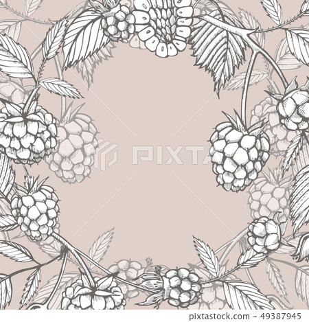 Hand drawn raspberry. Retro sketch style... - Stock Illustration ...