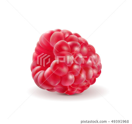 Ripe raspberries isolated on white background....-插圖素材 [49391968] - PIXTA圖庫