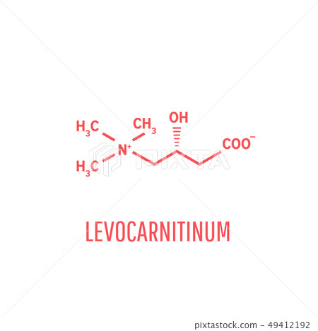 Levocarnitine biological molecule. Acetylcarnitine - Stock Illustration ...