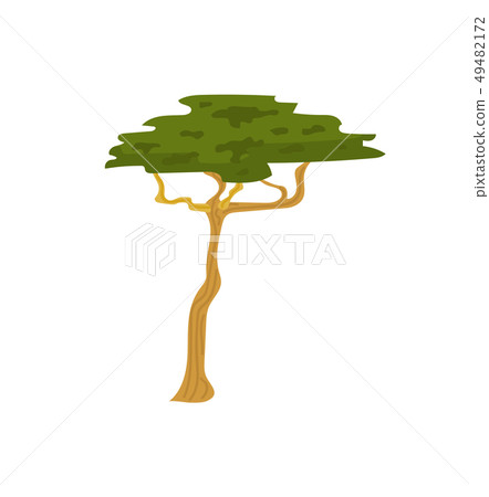 Wildlife Plant, Savanna Tree, African Flora Vector - Stock Illustration ...