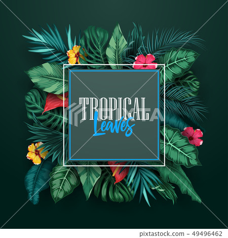 Tropical forest with square frame on black backgro - Stock Illustration ...