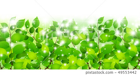 Fresh green light green background - Stock Illustration [49553442] - PIXTA