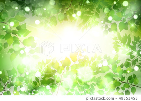 Fresh green light green background - Stock Illustration [49553453] - PIXTA