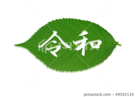 Demeanor - Stock Illustration [49583110] - PIXTA