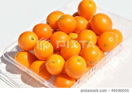 Kinkan - Stock Photo [49590050] - PIXTA