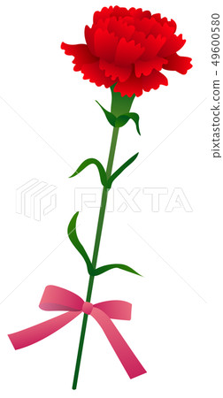 One red carnation - Stock Illustration [49600580] - PIXTA