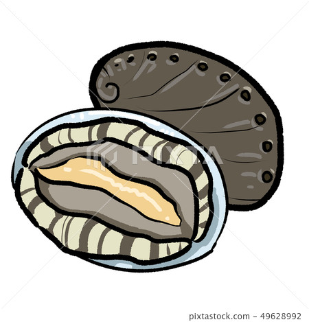 Abalone-Simple Pict - Stock Illustration [49628992] - PIXTA