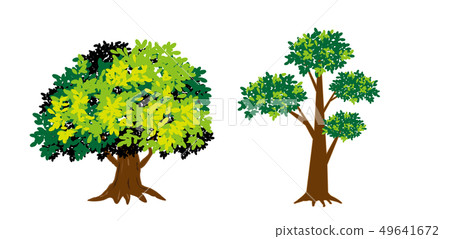 Thick and thin trees - Stock Illustration [49641672] - PIXTA