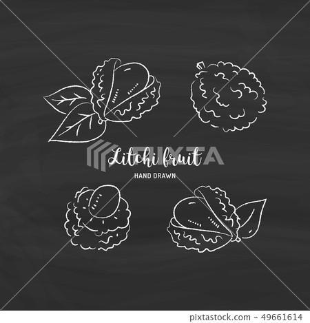 Litchi fruit drawing, Lychee. Sketch of litchi... - Stock Illustration ...