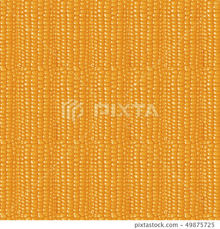 Corn coat texture - Stock Illustration [49875725] - PIXTA