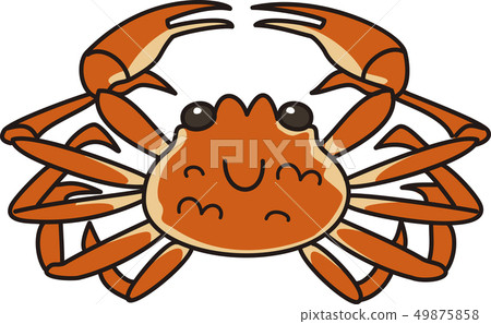 Snow crab - Stock Illustration [49875858] - PIXTA