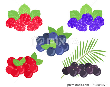 Berry illustration set - Stock Illustration [49884078] - PIXTA