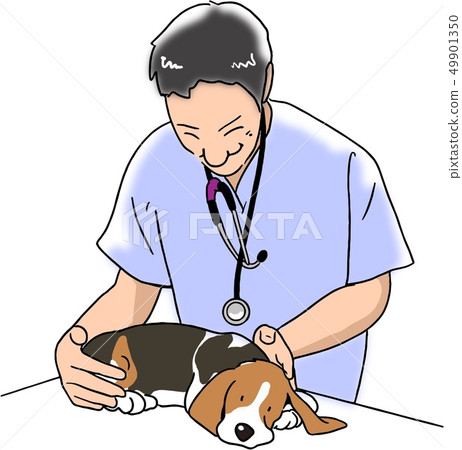 Dog examination - Stock Illustration [49901350] - PIXTA