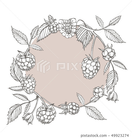 Hand drawn raspberry set isolated on white... - Stock Illustration ...
