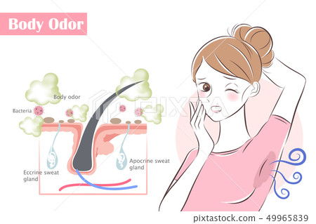 body odor problem - Stock Illustration [49965839] - PIXTA