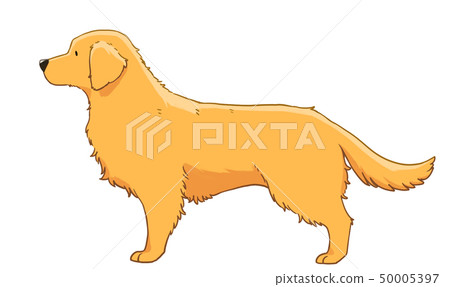 Golden Retriever Shadow - Stock Illustration [50005397] - PIXTA