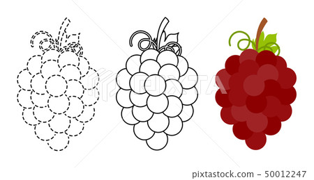 Grape to be colored and trace line - Stock Illustration [50012247] - PIXTA
