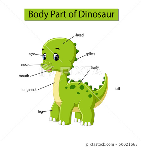 Diagram showing body part of dinosaur - Stock Illustration [50021665 ...