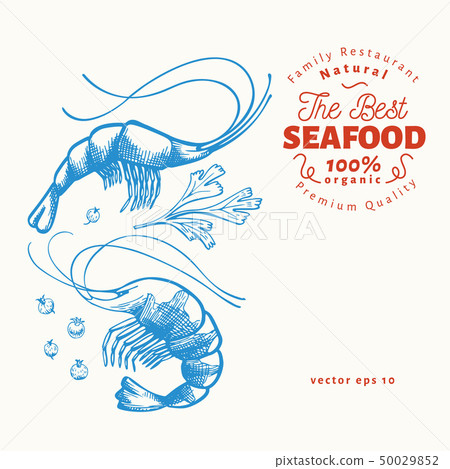 Prawns illustrations. Hand drawn vector seafood - Stock Illustration ...