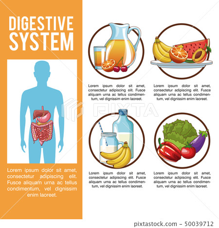 Digestive system poster - Stock Illustration [50039712] - PIXTA