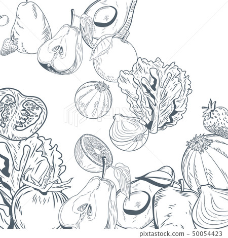 Vegetables and fruitshand draw - Stock Illustration [50054423] - PIXTA