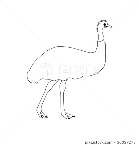 Ostrich Emu outline - Stock Illustration [50057275] - PIXTA