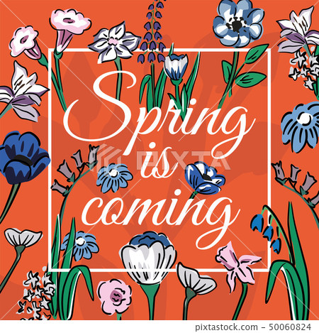 Slogan spring is coming with wildflowers orange - Stock Illustration ...