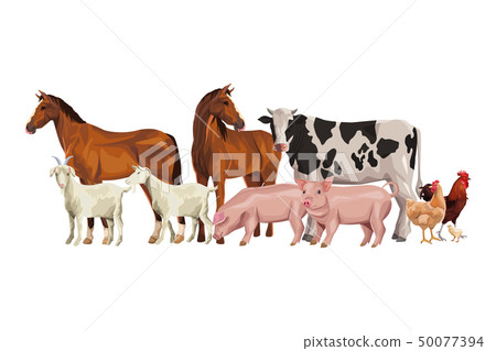 horse cow pig goat rooster hen - Stock Illustration [50077394] - PIXTA