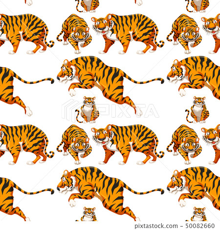 Seamless Multiple Tiger Background-插圖素材 [50082660] - PIXTA圖庫
