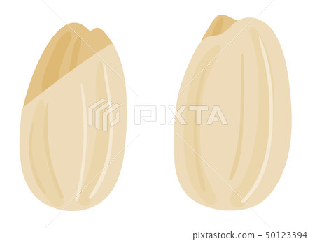 brown rice - Stock Illustration [50123394] - PIXTA