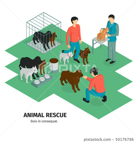 Animal Rescue Isometric Background - Stock Illustration [50176786] - PIXTA