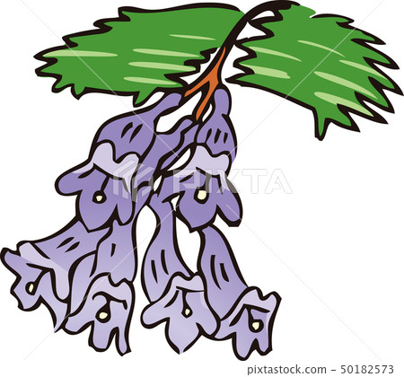 Jacaranda - Stock Illustration [50182573] - PIXTA
